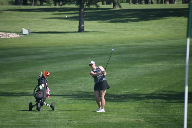 Webskowski, Panka take on Class AA girls tourney | News, Sports, Jobs ...